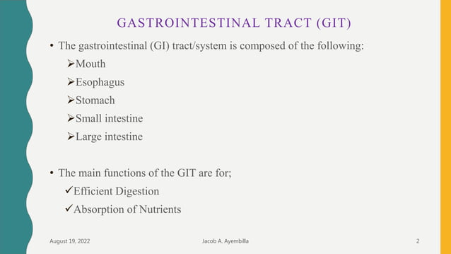 GASTROINTESTINAL ANATOMY | PPT