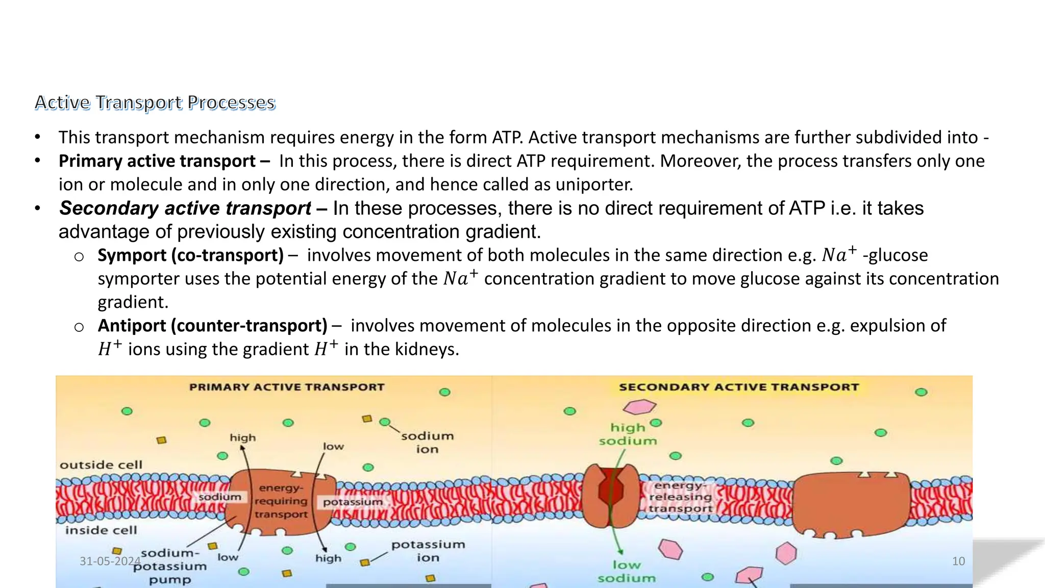 mechanism of absorption /transport, factor affecting absorption.pptx