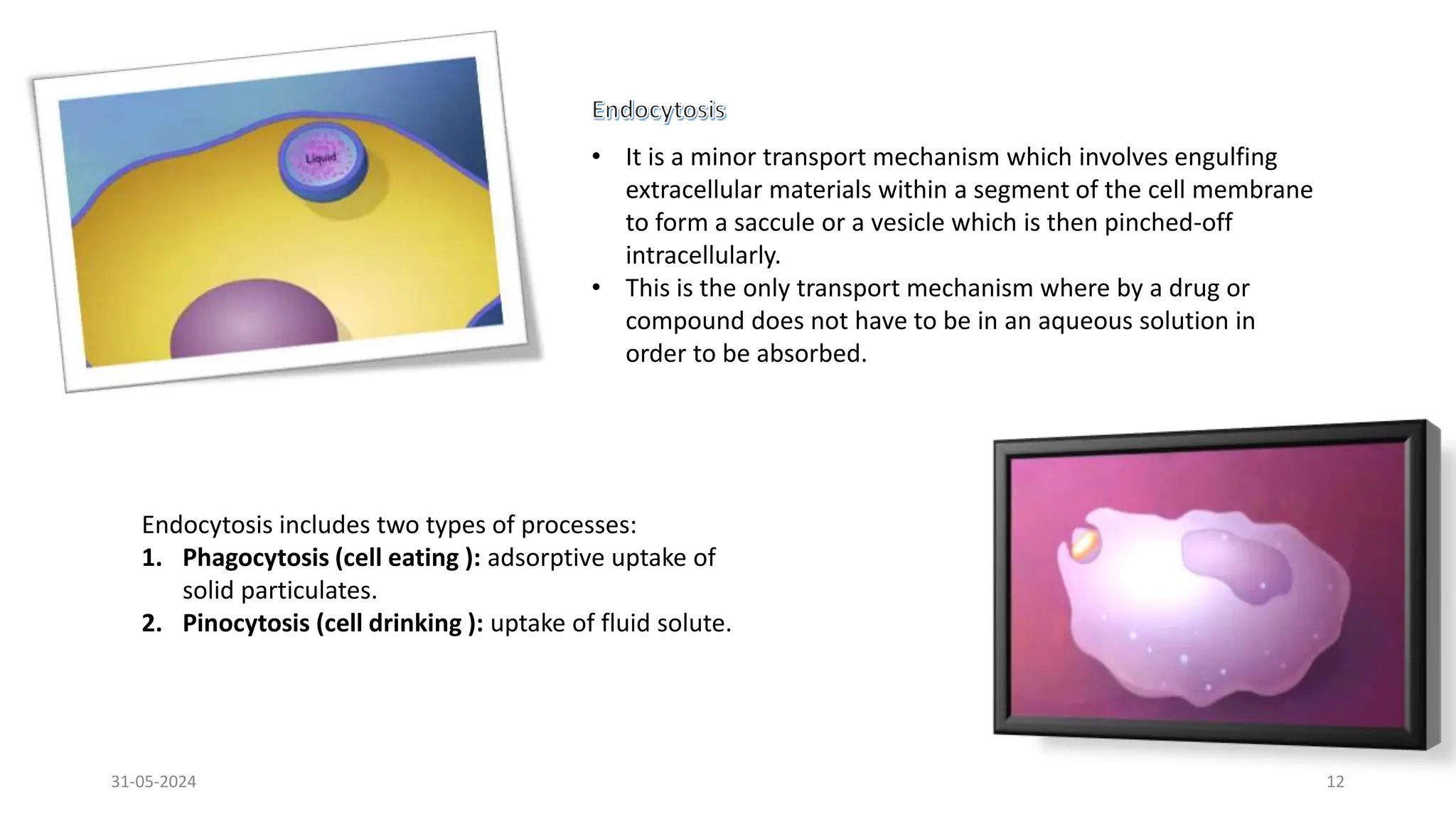 mechanism of absorption /transport, factor affecting absorption.pptx