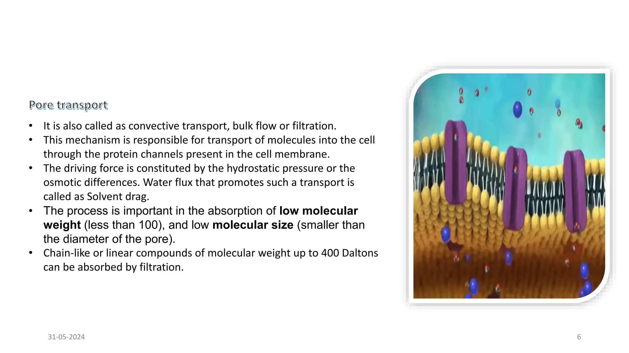 mechanism of absorption /transport, factor affecting absorption.pptx
