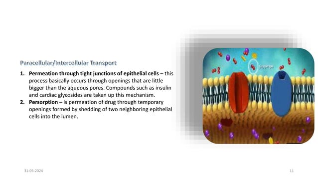 mechanism of absorption /transport, factor affecting absorption.pptx