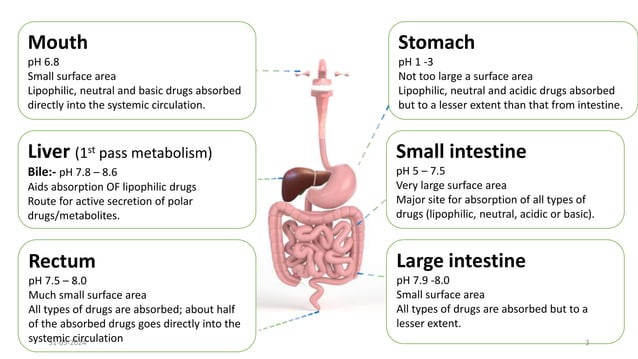 mechanism of absorption /transport, factor affecting absorption.pptx