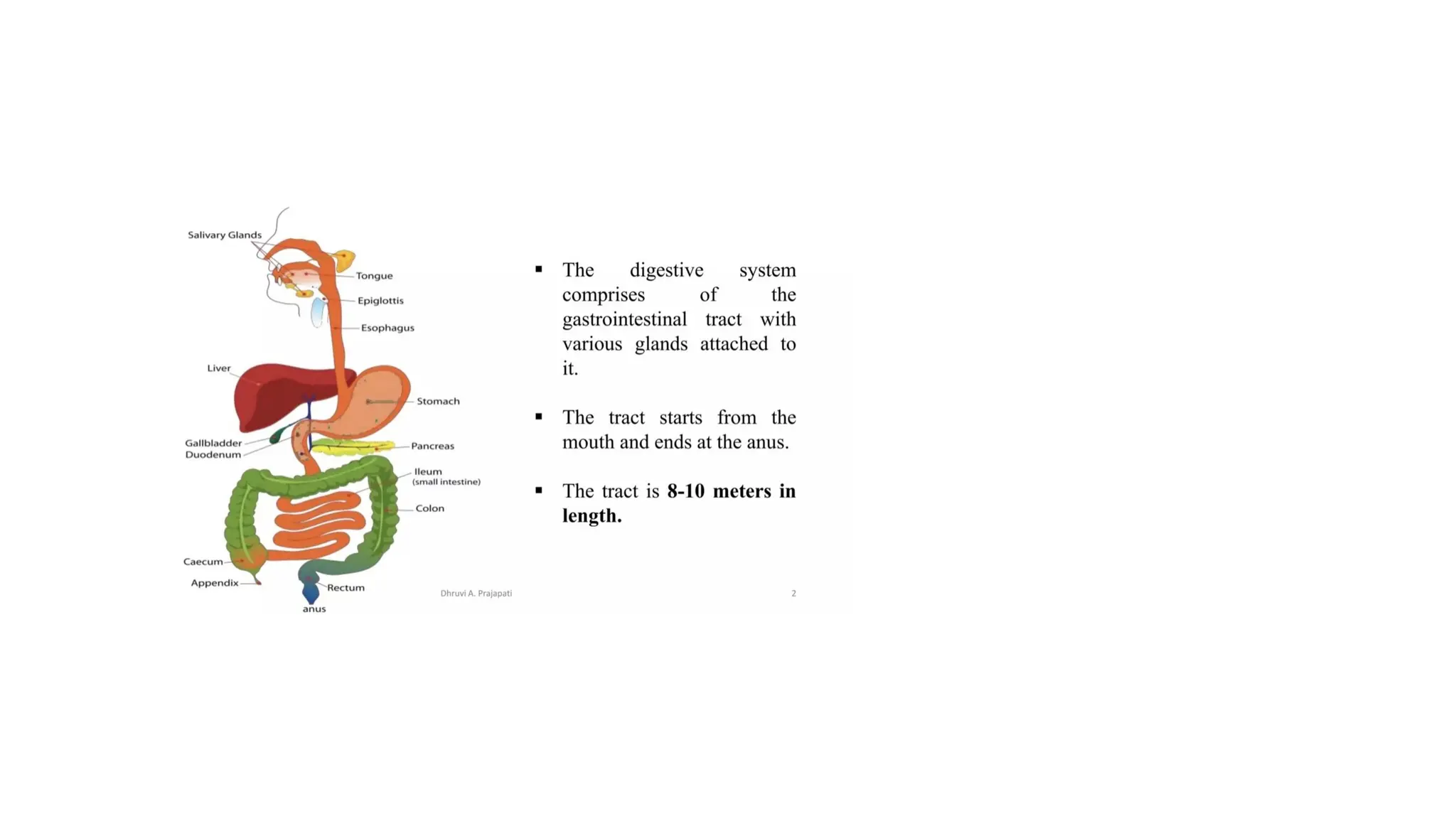 ANATOMY AND PHYSIOLOGY OF GASTROINTESTINAL TRUCT (GIT ANATOMY) pptx | PPTX