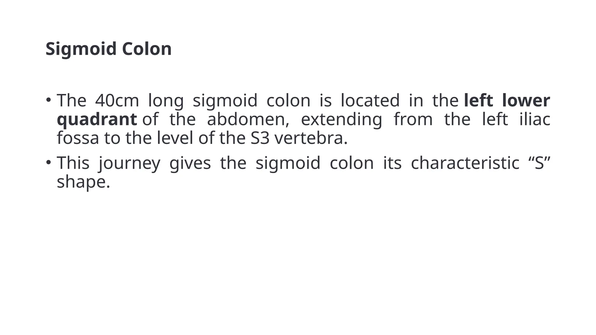 GIT.pptx anatomy detail slides for preparation | PPTX