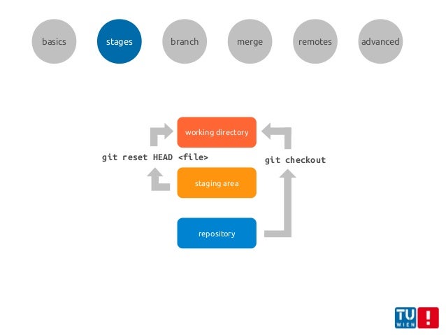 Git Introduction Tutorial