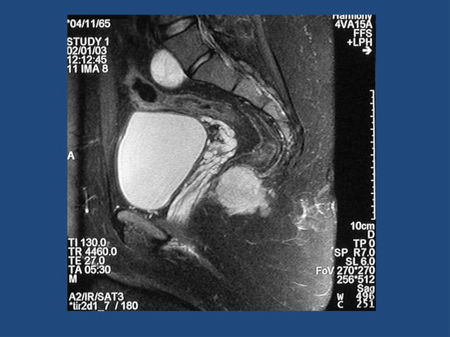 git-radiology- introduction to medical students.pptx | Digestive Disorders | Diseases and Conditions