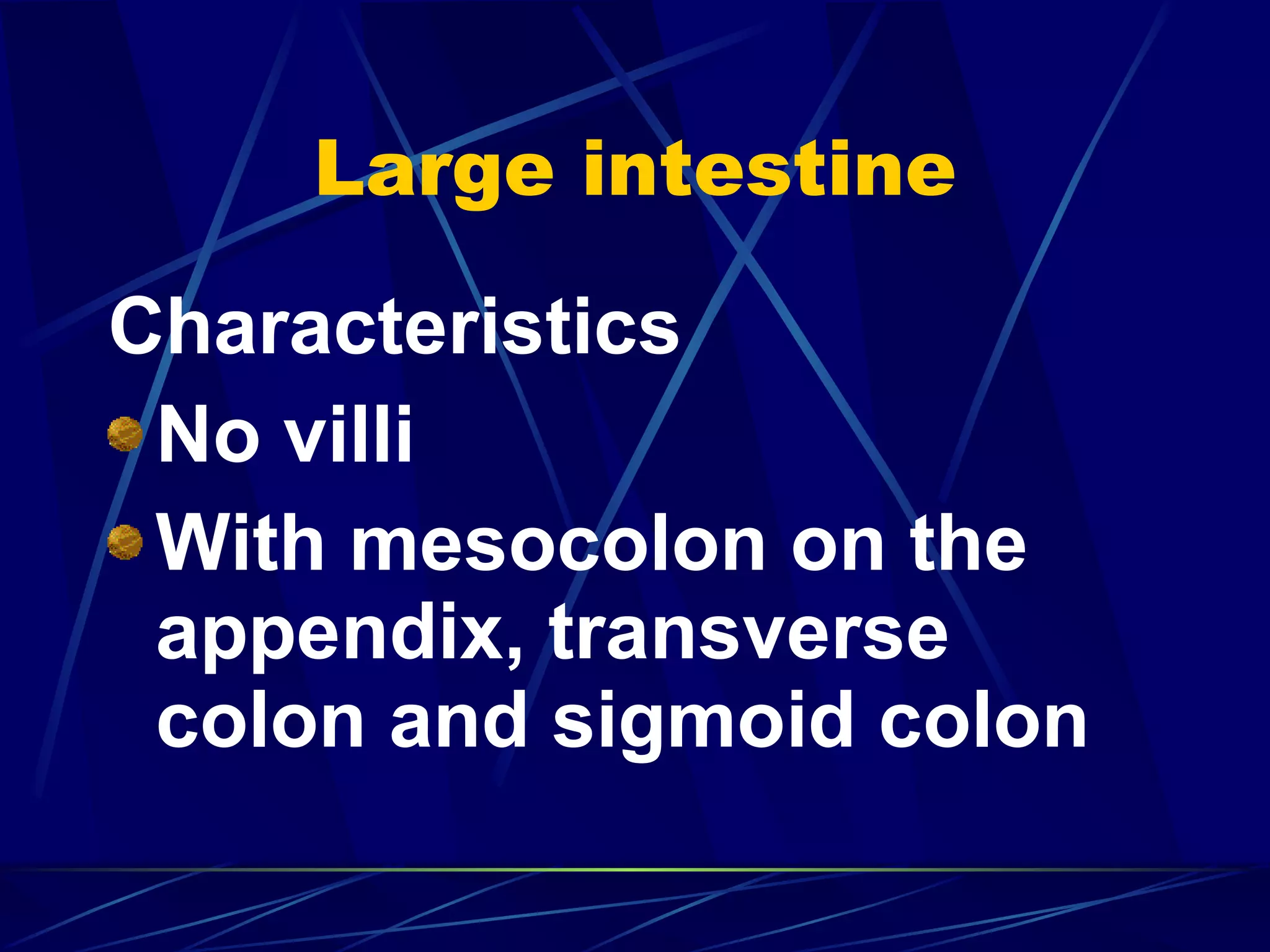 Gastro intestinal, Reproductive, Urinary | PPT
