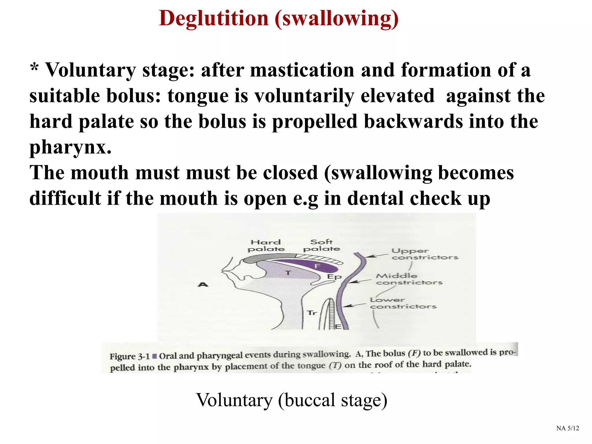 Gastrointestinal tract (GIT) | PDF