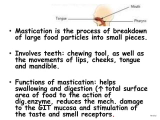 Gastrointestinal tract (GIT) | PDF