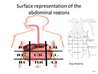 Gastrointestinal tract (GIT) | PDF