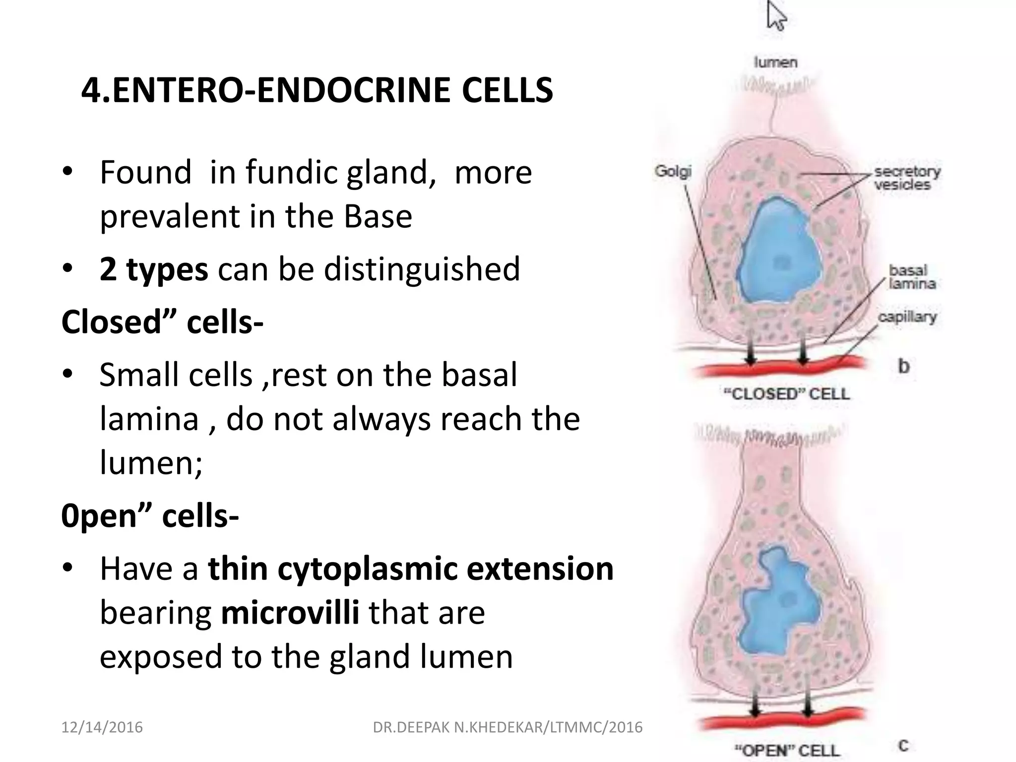HISTOLOGY OF GIT- 2 | PPTX