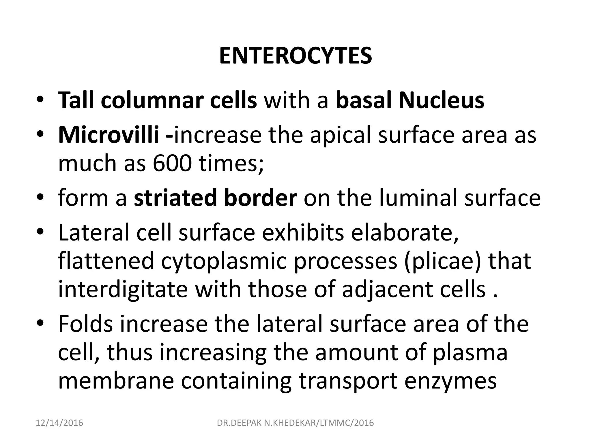HISTOLOGY OF GIT- 2 | PPTX