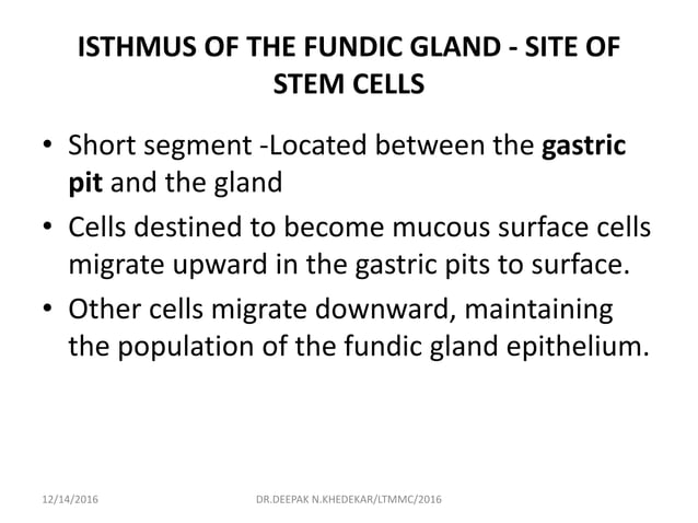 HISTOLOGY OF GIT- 2 | PPTX
