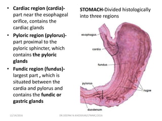 HISTOLOGY OF GIT- 2 | PPTX