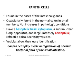 HISTOLOGY OF GIT- 2 | PPTX