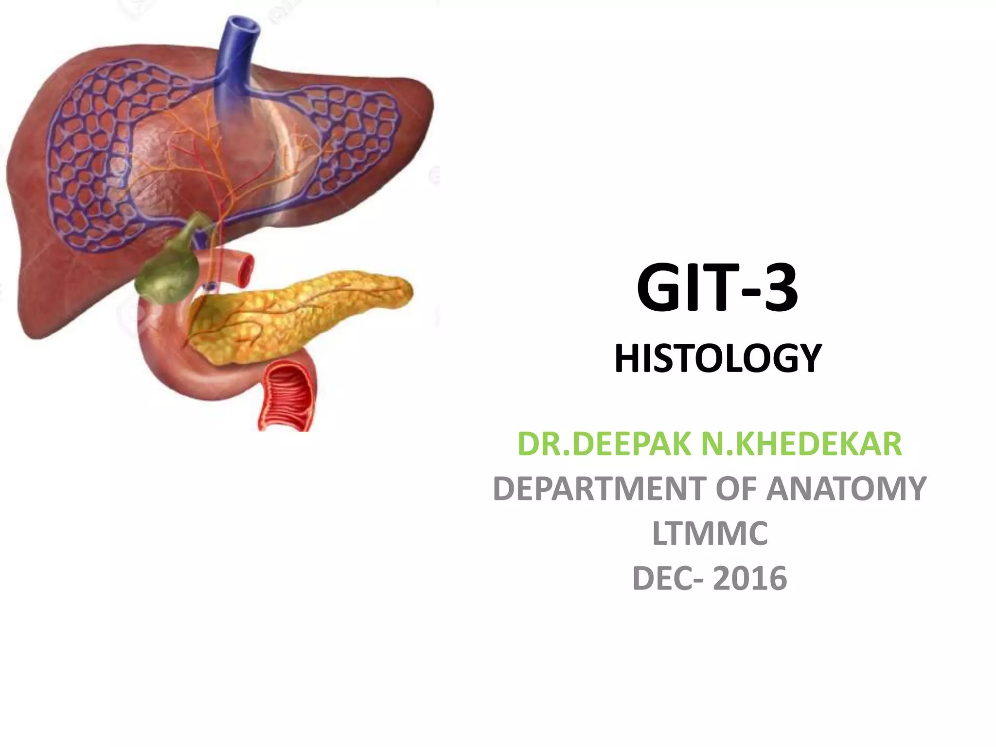 HISTOLOGY GIT- 3 dk | PPT