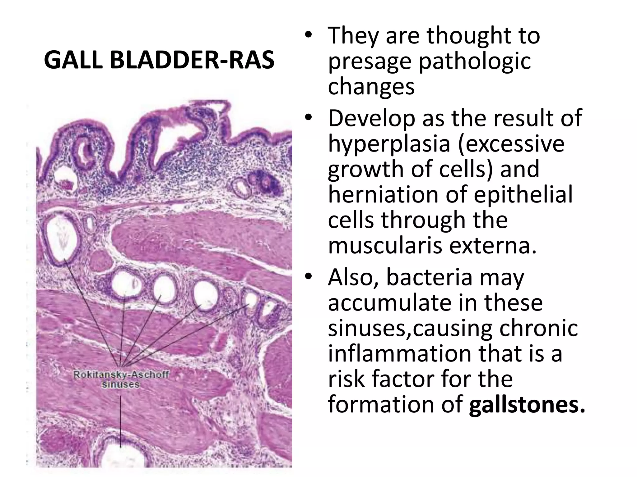 HISTOLOGY GIT- 3 dk | PPT