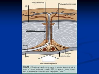 GIT 4th abd wall pain | PPT
