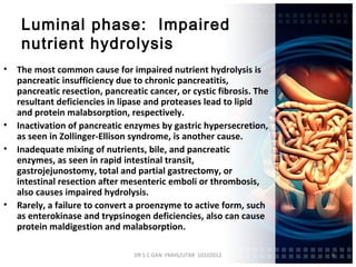Git5 malabsorption syndrome | PPT