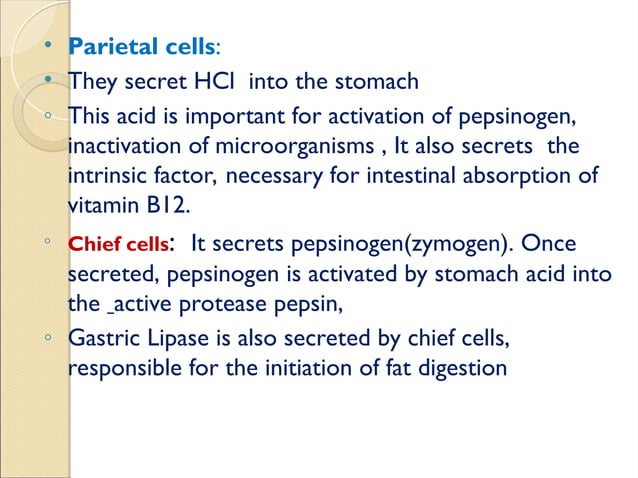GIT gastrointestinal tract physiology medical | PPT