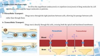 GIT ABSORPTION FOR ORAL Administered Drug | PPTX