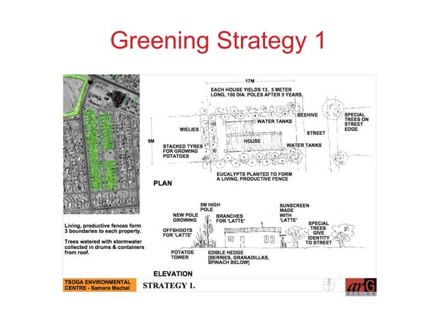 Building and Landscape Design Philippi Local Area Development Framework ...