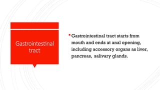 Gestro intestinal Track anatomy ppt digestive system BSN nursing | PPTX