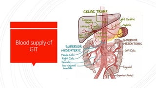 Gestro intestinal Track anatomy ppt digestive system BSN nursing | PPTX