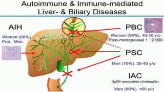 GIT Cholestatic liver disease 4th 2025..pptx