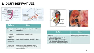 GIT Development Summary (Embroyology).pptx