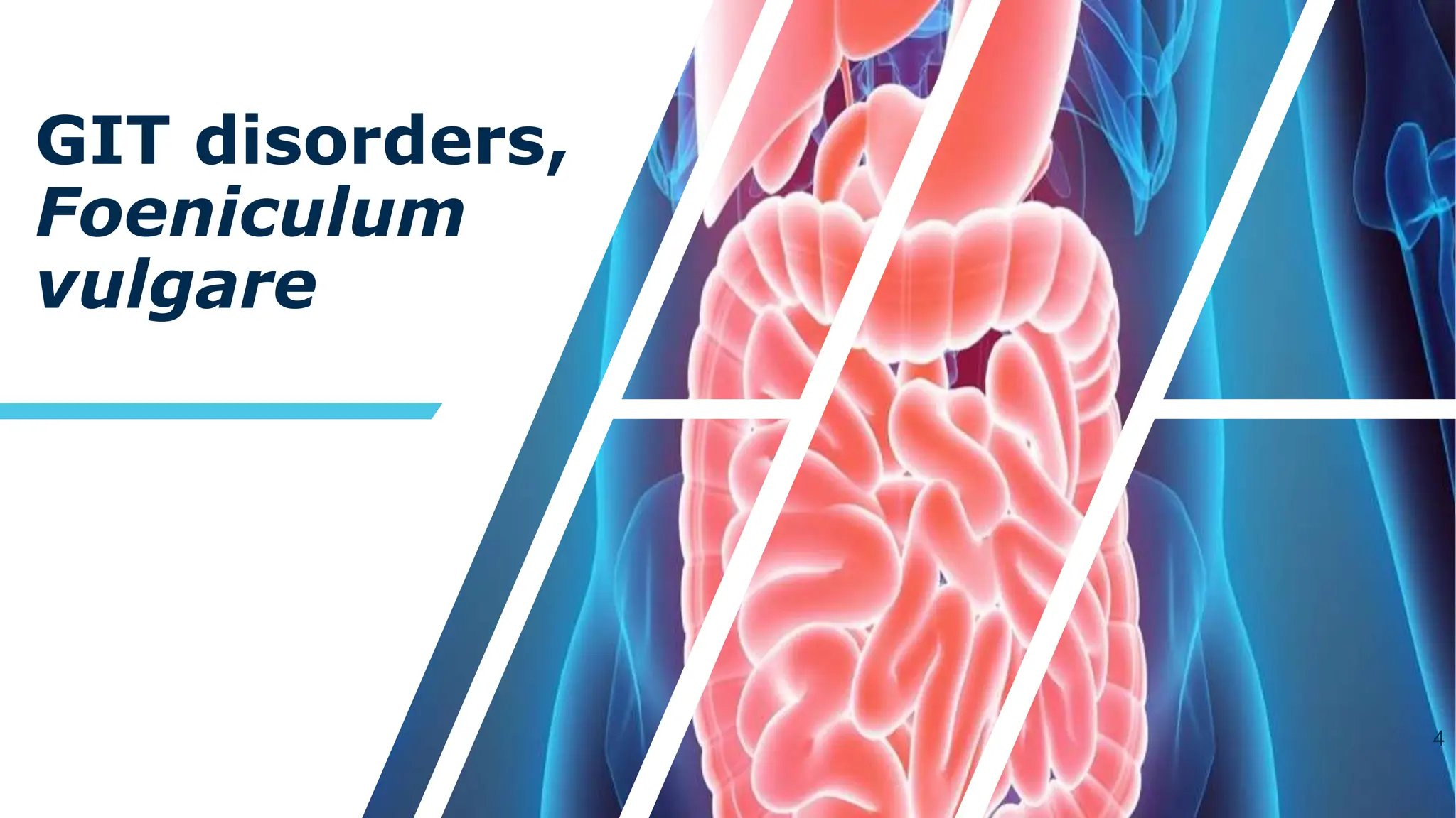 GIT disorders Pharmacognosy Advanced.pptx | Free Download