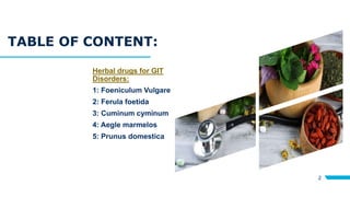 GIT disorders Pharmacognosy Advanced.pptx