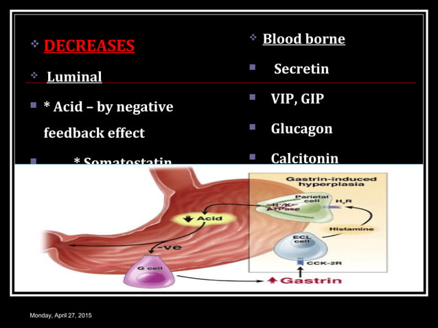 GIT HORMONES | PPT | Endocrine and Metabolic Diseases | Diseases and ...