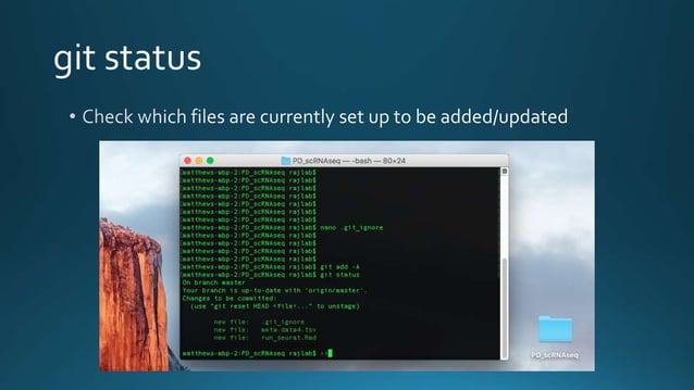 GitHub Presentation | PPTX | Web Development | Internet