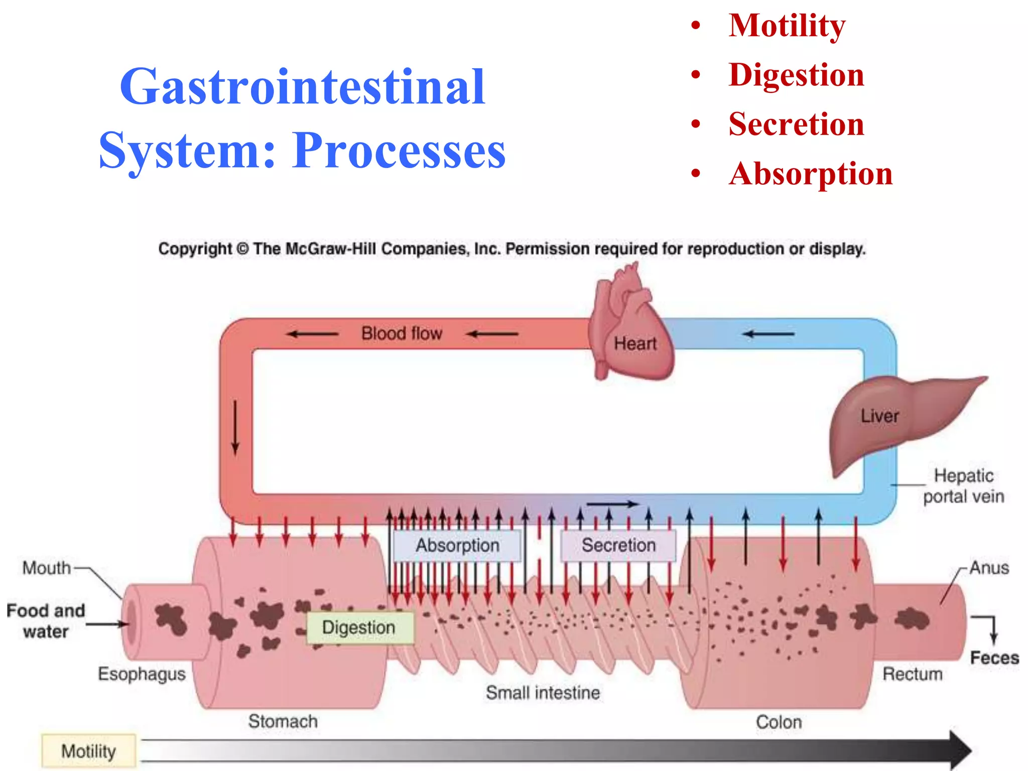 GIT Physiology I | PPTX