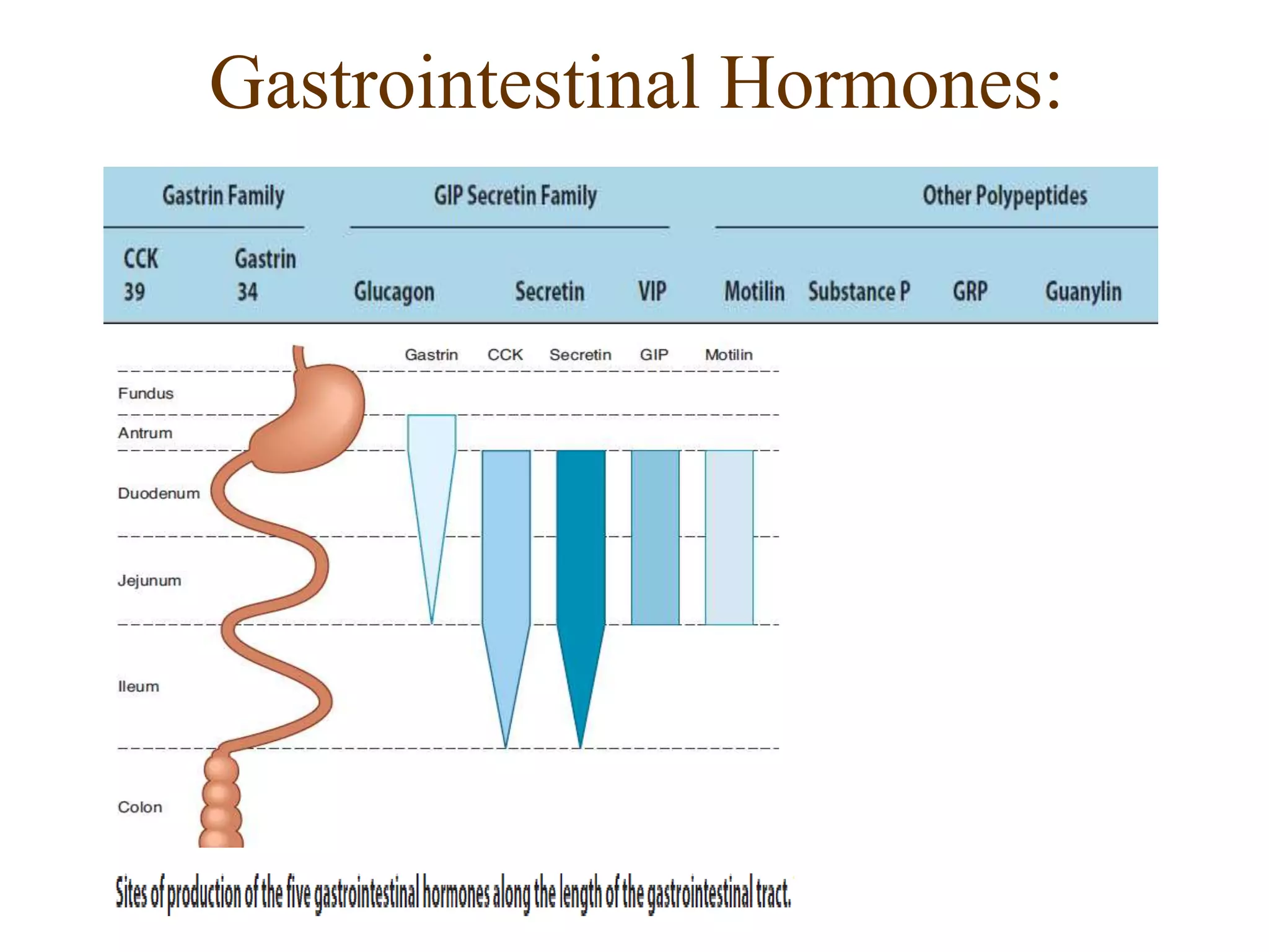 GIT Physiology I | PPTX