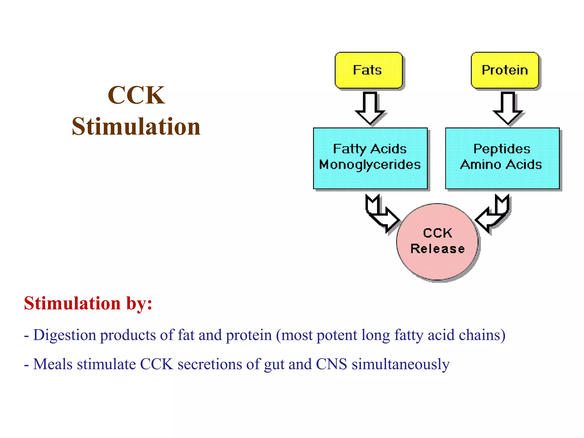 GIT Physiology I | PPTX