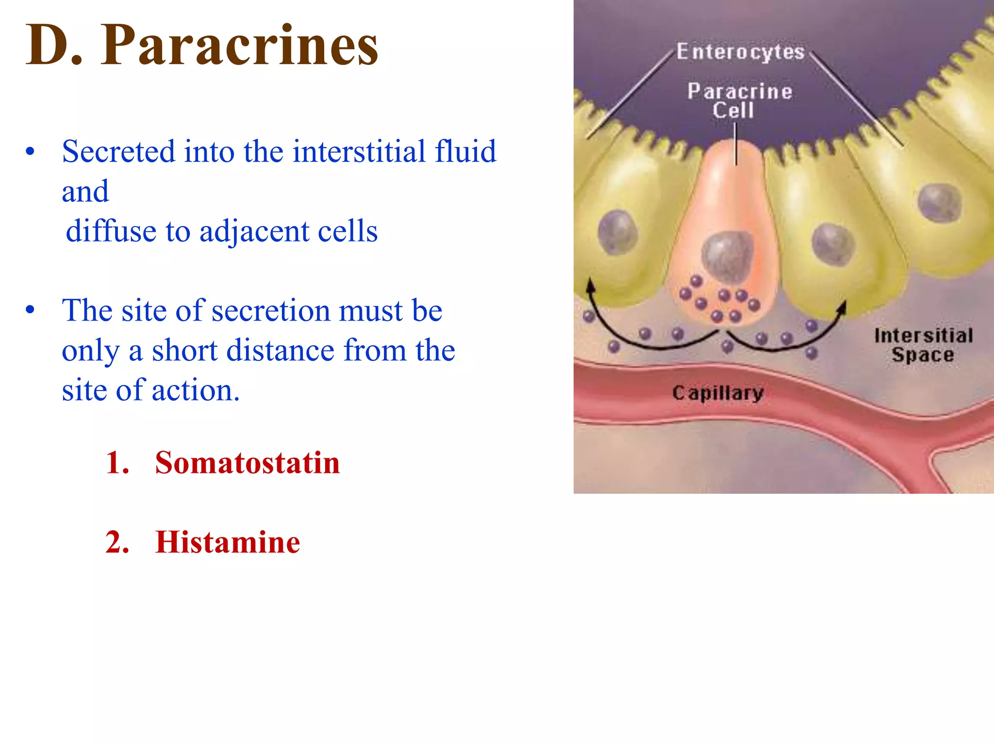 GIT Physiology I | PPTX