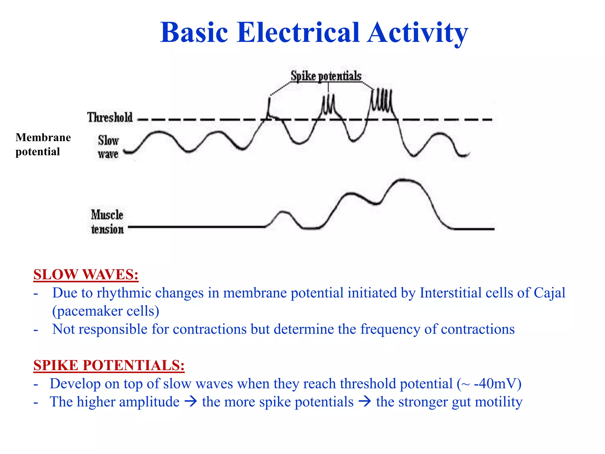 GIT Physiology I | PPTX