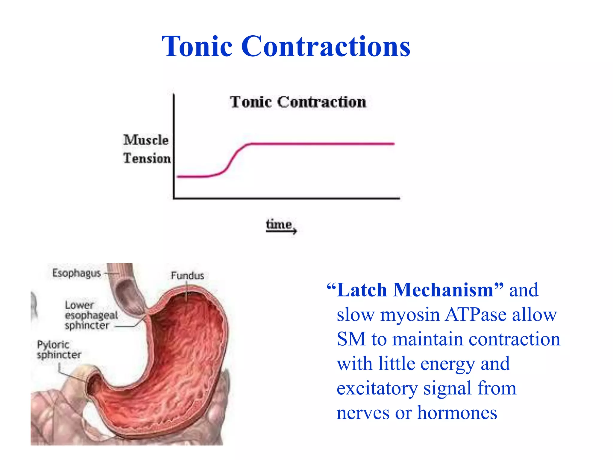 GIT Physiology I | PPTX