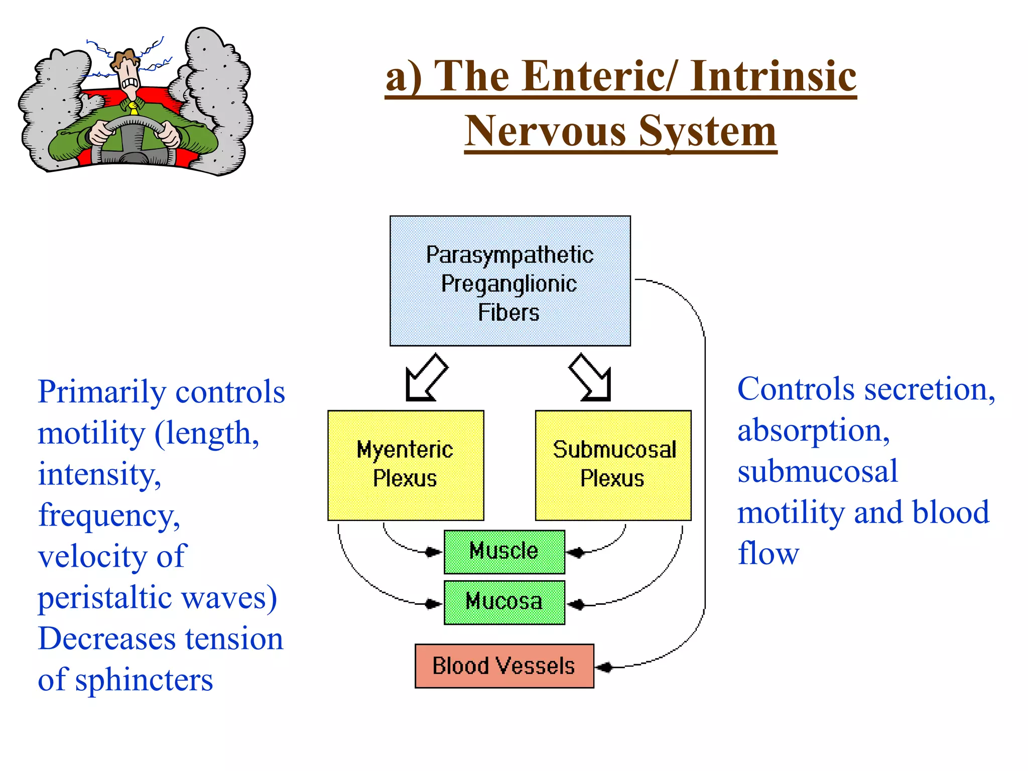 GIT Physiology I | PPTX