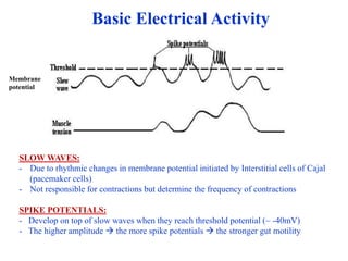 GIT Physiology I | PPTX