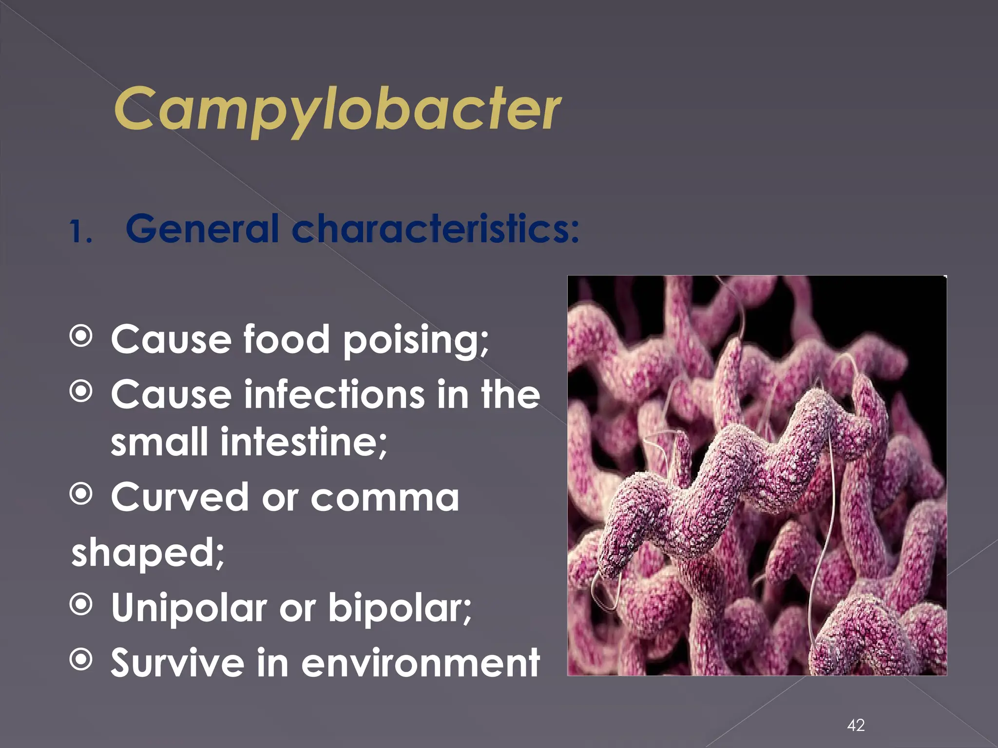 نسخة من GIT infections microbiology (1)-2017.pptx