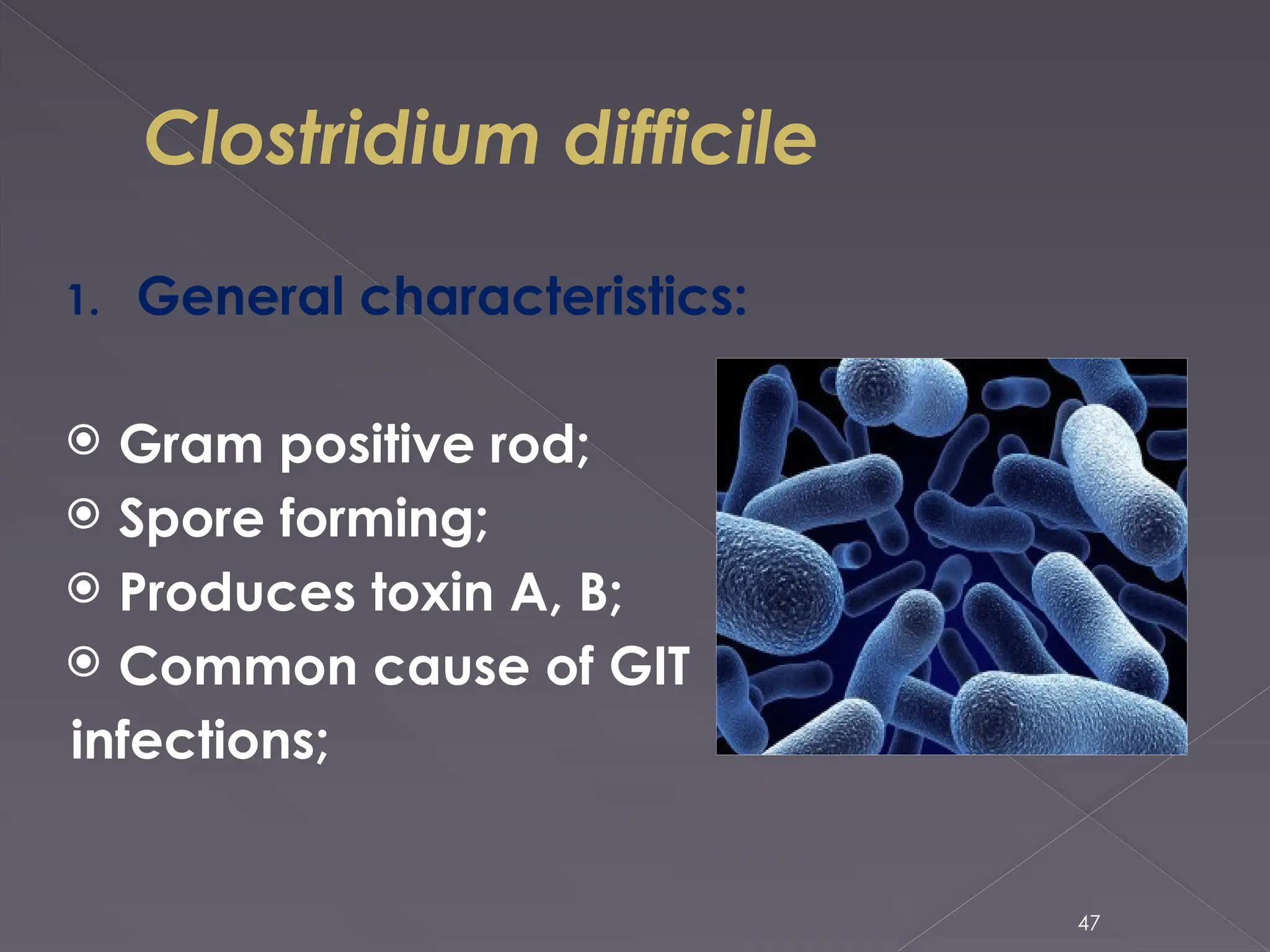 نسخة من GIT infections microbiology (1)-2017.pptx