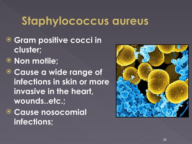نسخة من GIT infections microbiology (1)-2017.pptx