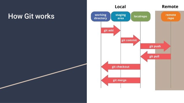 Intro to Git for Project Managers