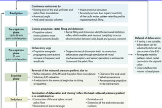 Git j club defecation physiology &disorders21 | PPT