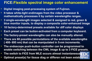 GIT Kurdistan board GEH J Club: Electronic Chromoendoscopy | PPT