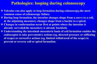 Git j club mesentry hlth diseases21 | PPTX | Digestive Disorders ...