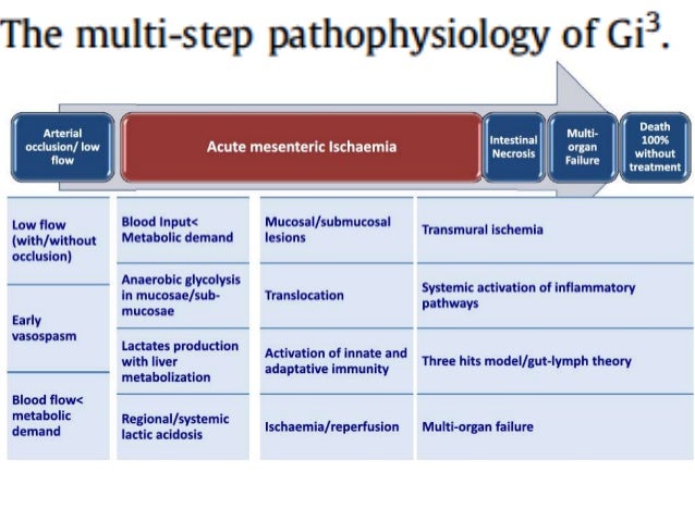 Git journal club Gastrointestinal ischemic injuries GI3.